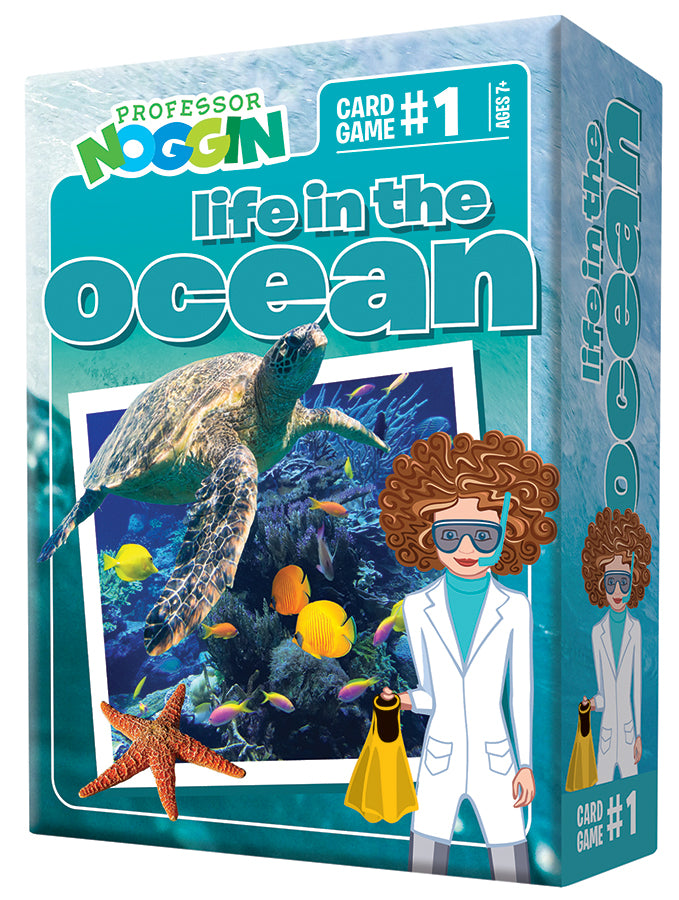 Prof. Noggin Life in the Ocean — Outset Media