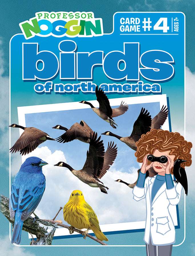 Prof. Noggin Birds of North America — Outset Media