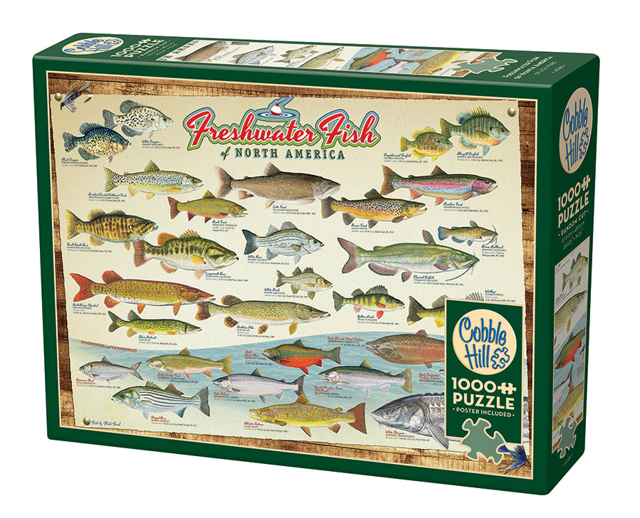 Freshwater Fish of North America | 1000 Piece — Outset Media