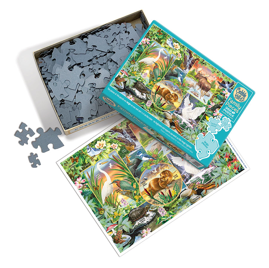 River Magic | Family Pieces 350 — Outset Media