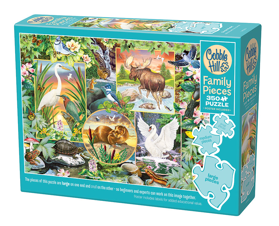 River Magic | Family Pieces 350 — Outset Media
