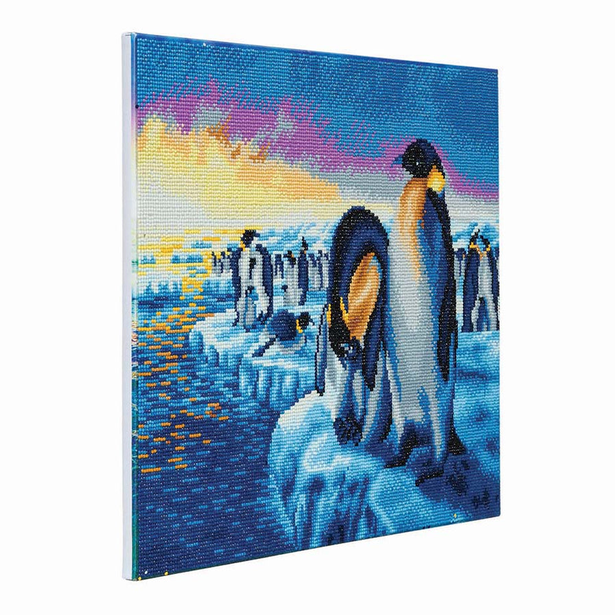 CA Mounted Kit (Lg): Penguins of the Arctic — Outset Media