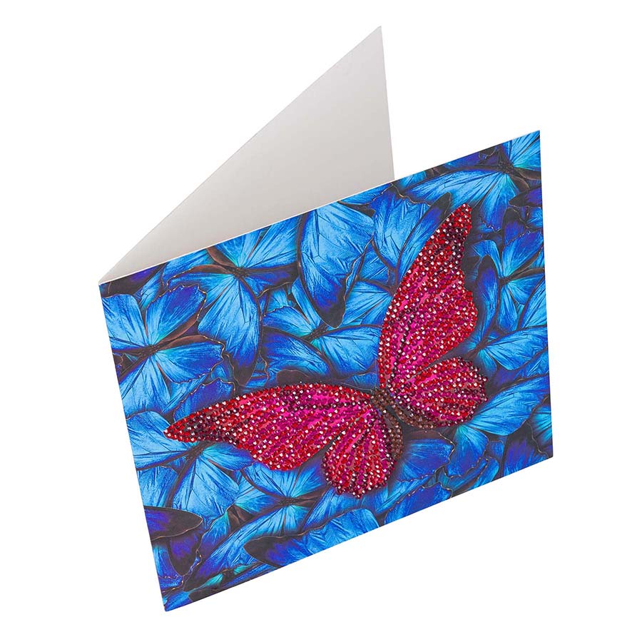 CA Card Kit: Butterfly — Outset Media