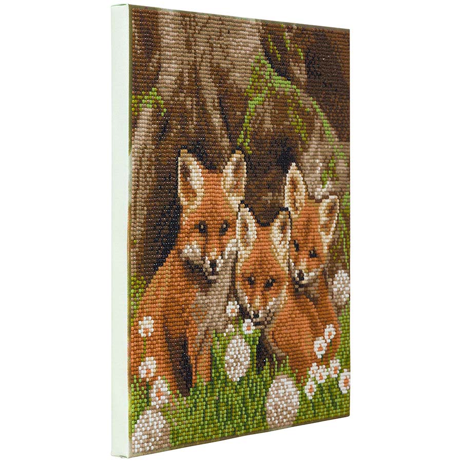 CA Mounted Kit (Med): Fox Cubs — Outset Media