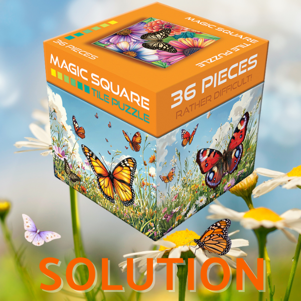 SOLUTION: Magic Square Butterflies 6 x 6 — Outset Media