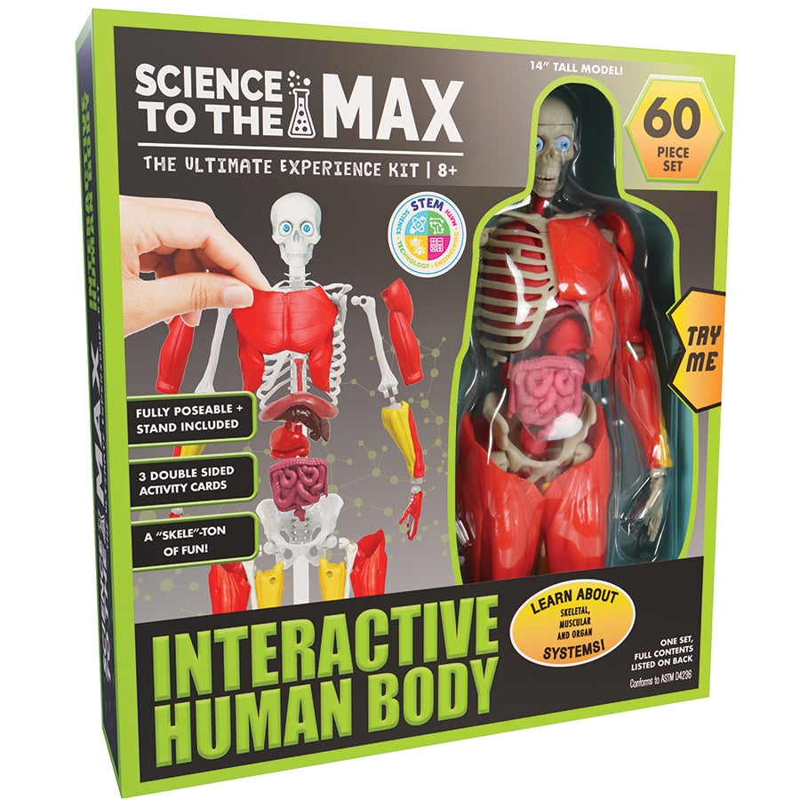 Corps humain interactif — Outset Media