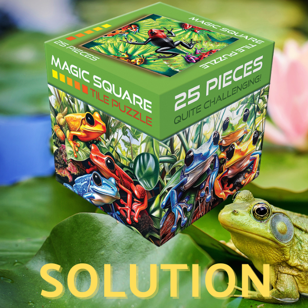 SOLUTION: Magic Square Frog 5 x 5 — Outset Media