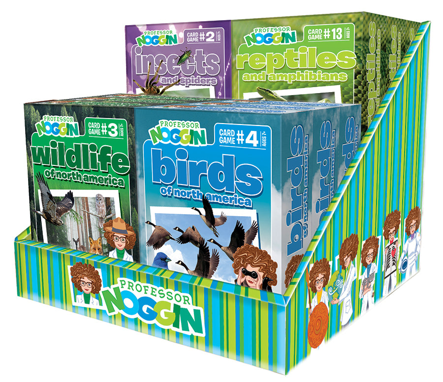 Prof. Noggin 4-slot DISPLAY — Outset Media