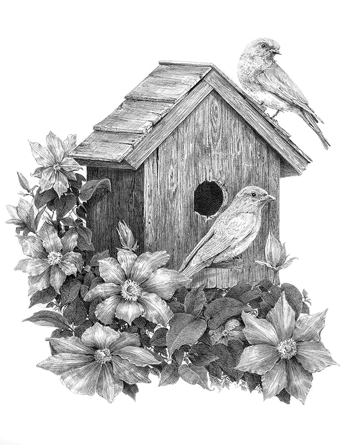 SKBN Birdhouse — Outset Media