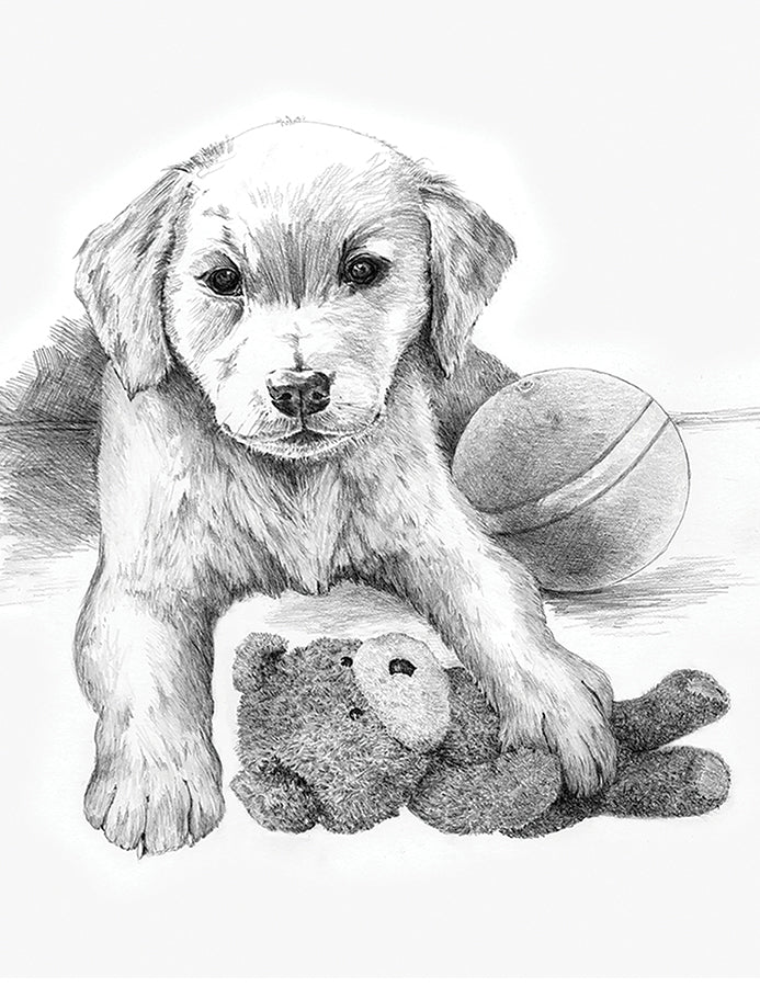 SKBN Puppy with Teddy Bear | Must order in multiples of 3* per SKU ...