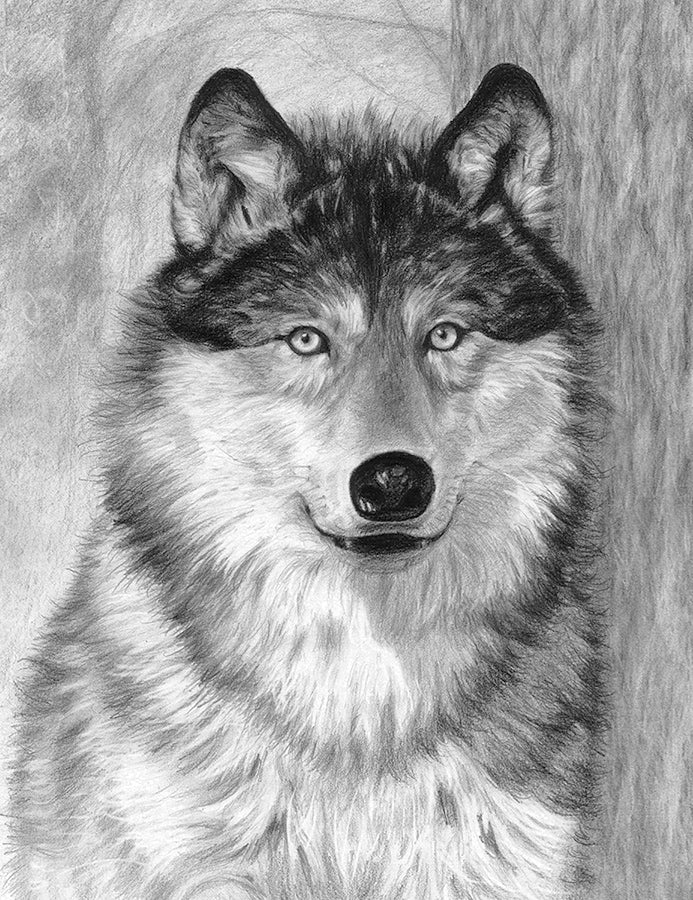 SKBN Alpha — Outset Media